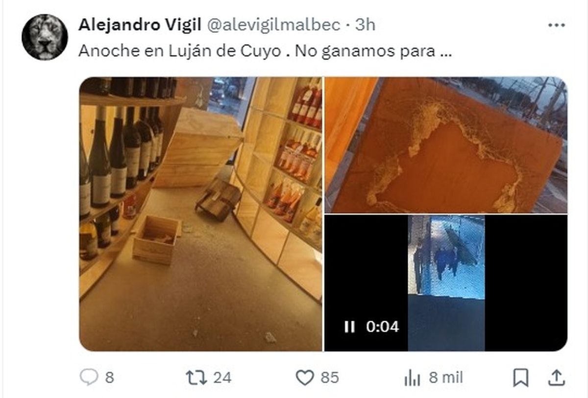 Destrozaron un vidrio y robaron vinos de un local del enólogo Alejandro ...