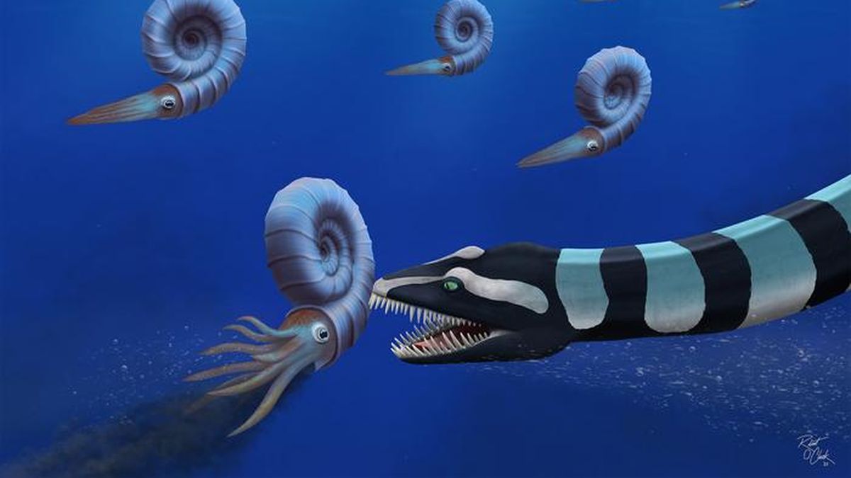 Científicos resuelven el misterio del monstruo marino de 85 millones de años