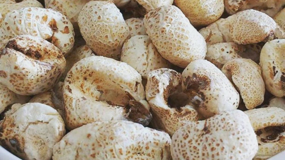 Cómo preparar tutucas caseras con una receta que pocos conocen