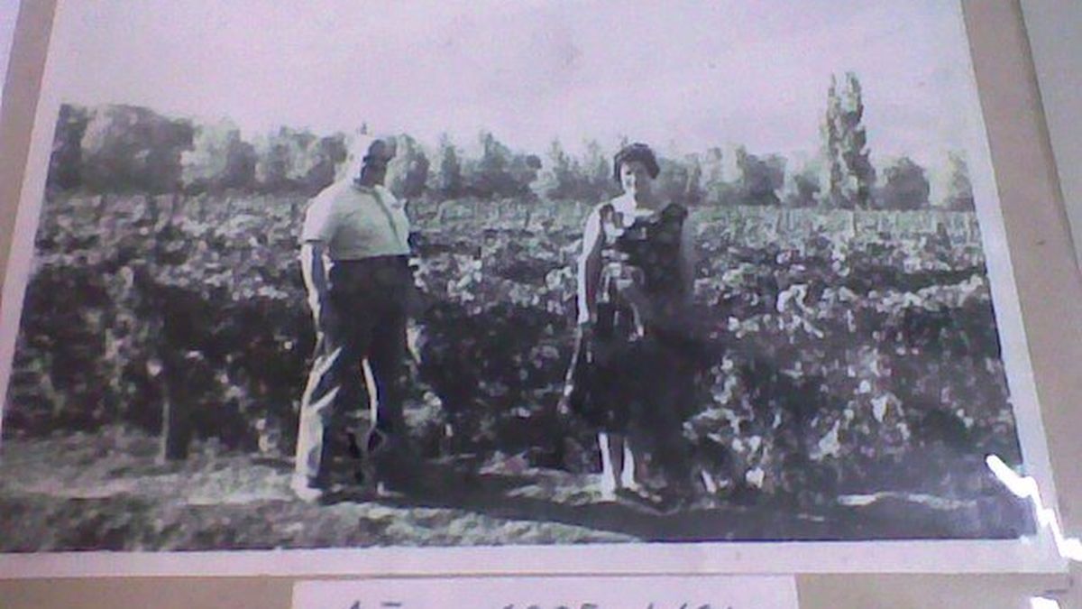 Historia de San Rafael: Augusto Viola, una historia de amor en plena ...