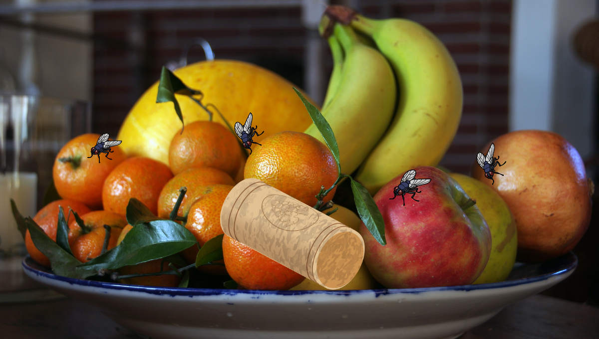 Moscas en España: este es el truco del corcho para alejarlas de tus frutas