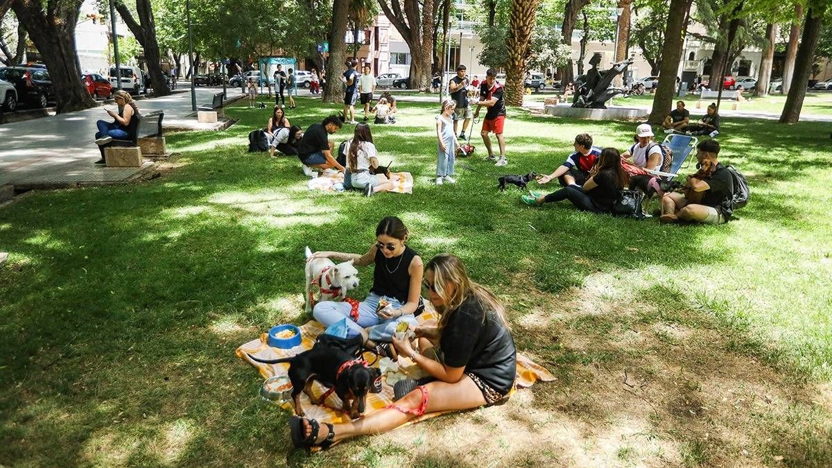 Sándwiches, tejo y música: el fenómeno creado por un mendocino que ...