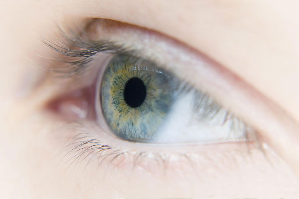 Azúcar en sangre: hay un síntoma que se manifiesta en los ojos y es ...