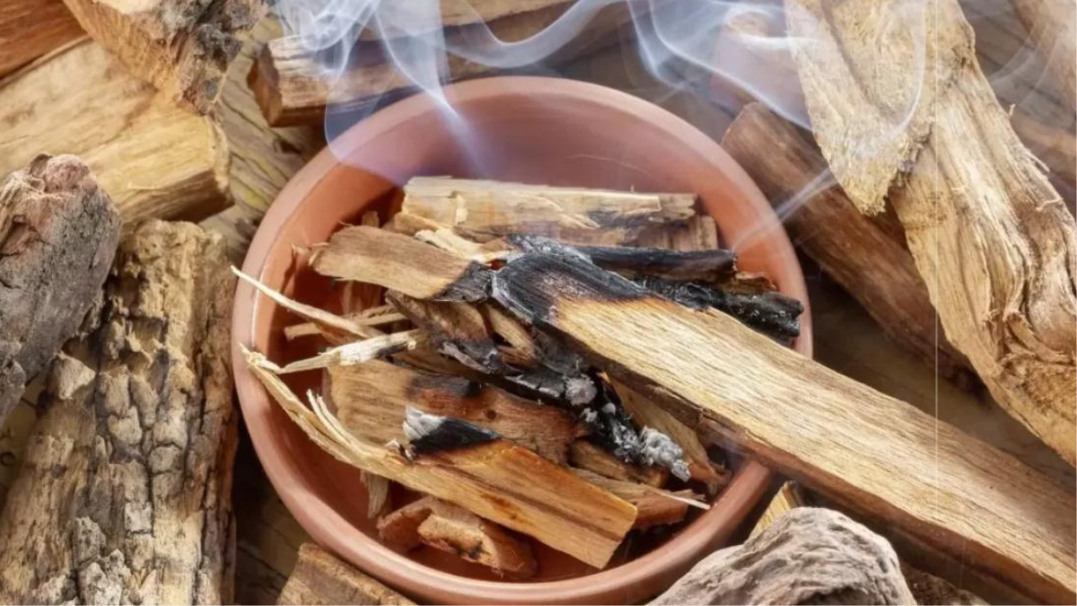 Feng Shui: este día es el ideal para prender el palo santo y atraer dinero a tu vida