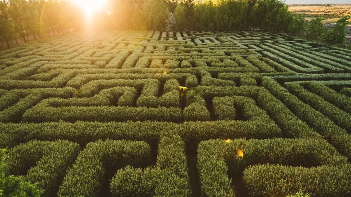 La historia de los laberintos de don Carmona en Malargüe