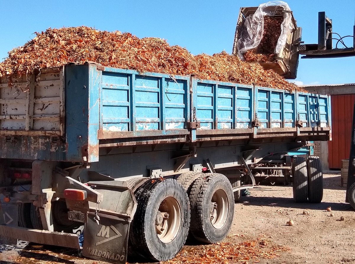 Una familia fabrica composteras que reciclan residuos orgánicos y ...