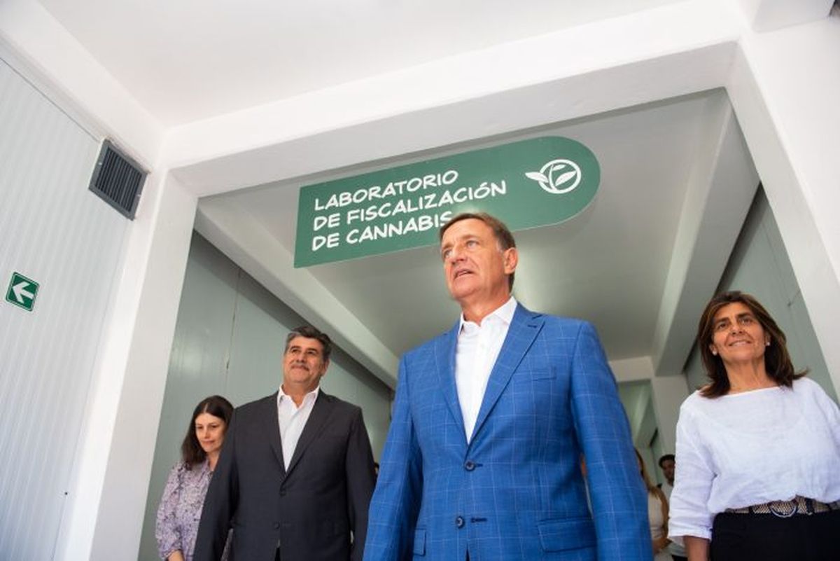 Rodolfo Suarez visitó el laboratorio de fiscalización de cannabis que ...