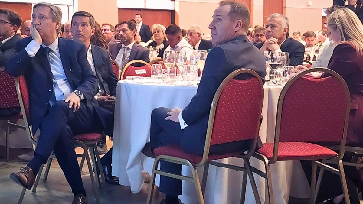 El triunfo compartido de Cornejo y Félix en el Sur deja al peronismo ...