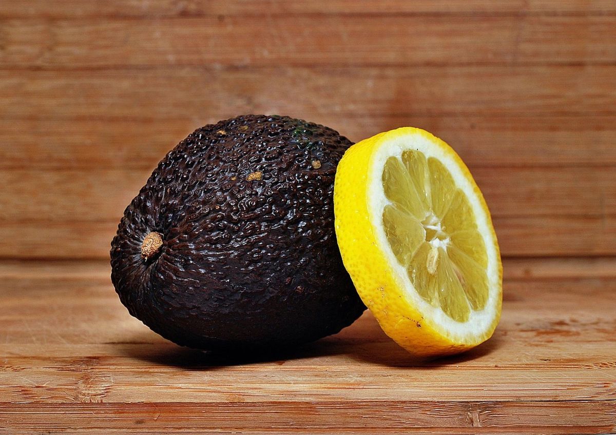 Qué pasa si consumo la parte negra de la palta y cómo guardarla durante ...