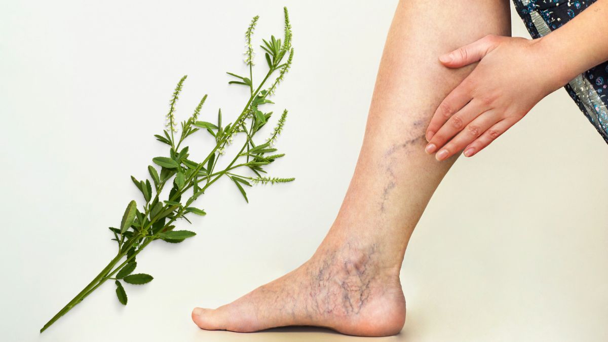 La infusión que mejora la circulación, elimina las várices y cuida las ...