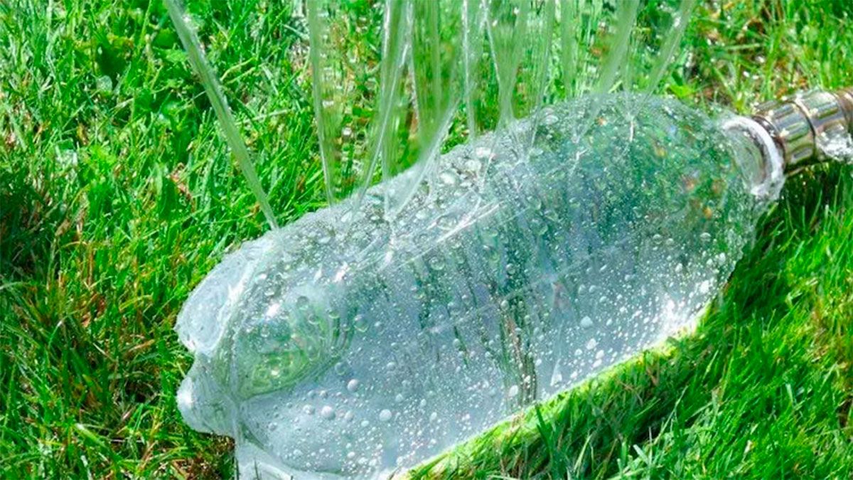 Reciclaje: las fabulosas ideas para reutilizar las botellas de plástico