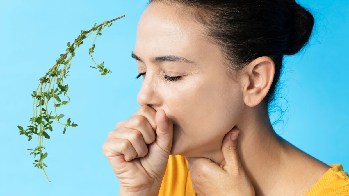 La hierba que funciona como jarabe y expectorante natural