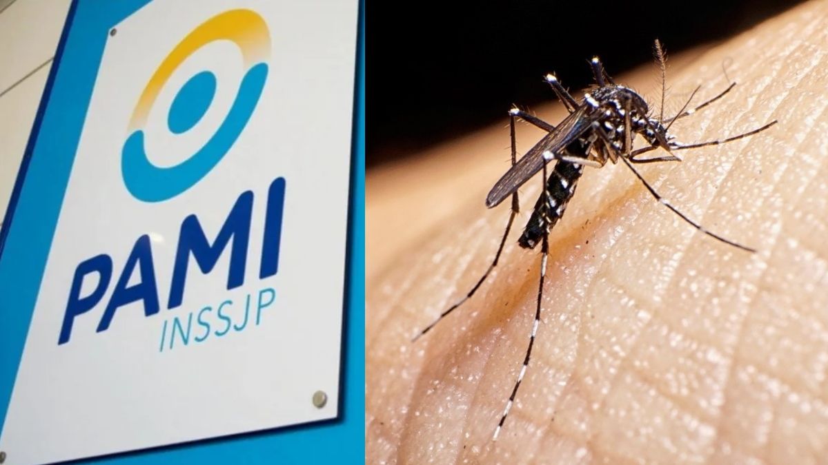 PAMI hizo oficial un nuevo beneficio para jubilados y pensionados ...