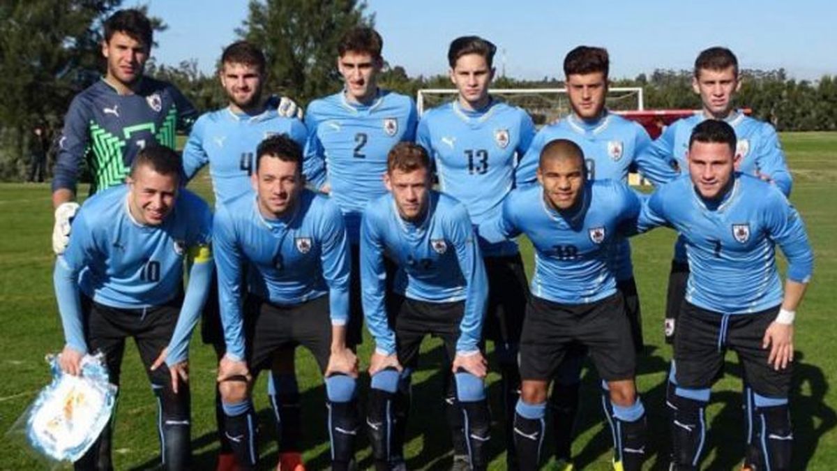 Cocodrilo que duerme... se postularon para reemplazar a Argentina en Río