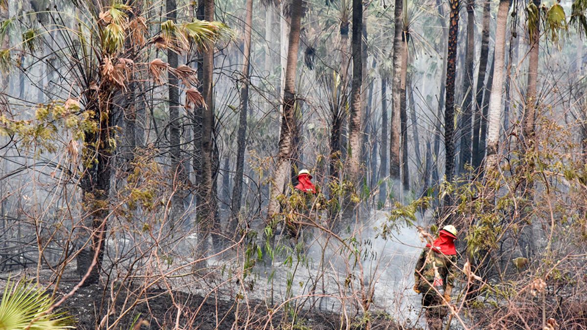 El humo de los incendios del Amazonas ya llegó a Mendoza