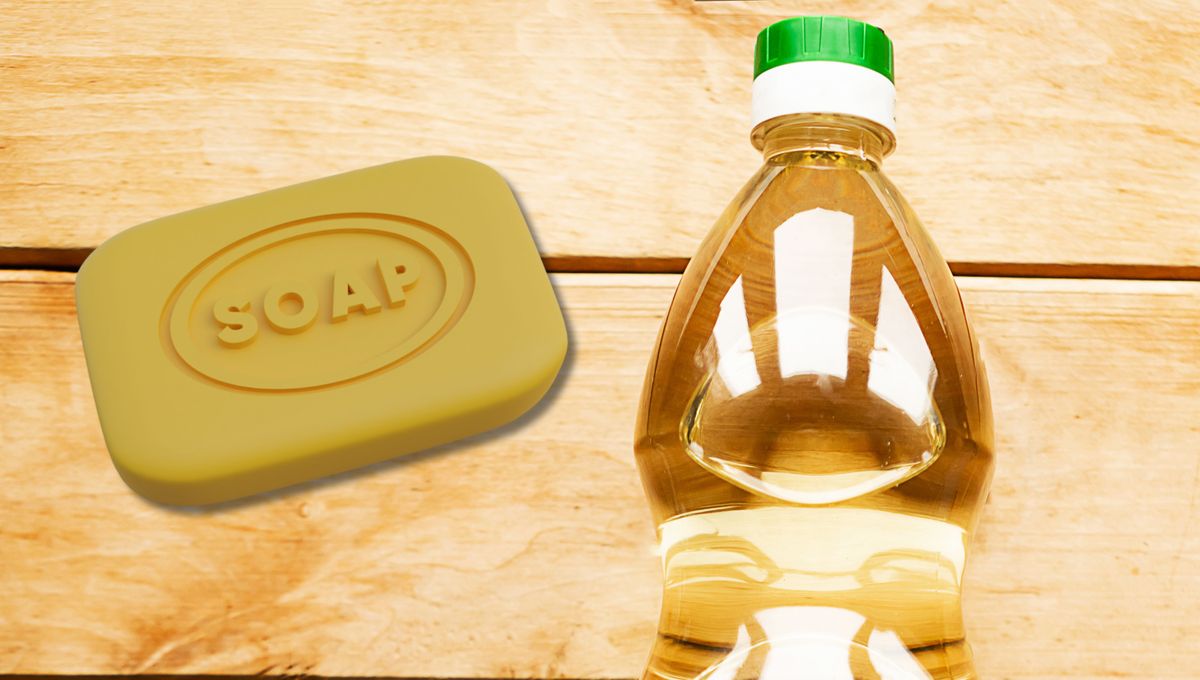 Vinagre y jabón: ¿qué significa esta mezcla de ingredientes y para qué ...