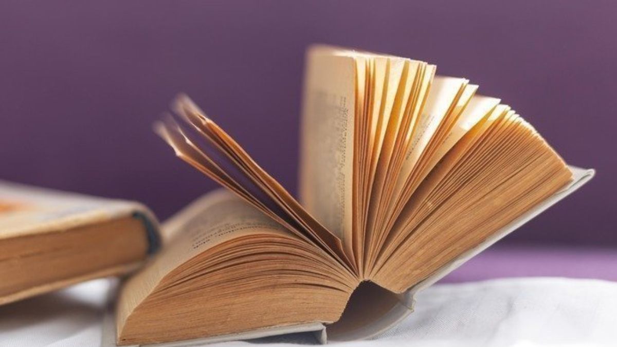 ¿Se escribe con C o S? Qué dice la RAE sobre esta palabra que tantas ...