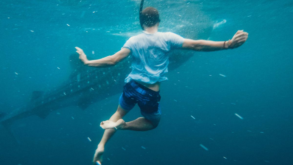 ¡Se lanzan a todo! Estos son los signos del zodiaco más arriesgados