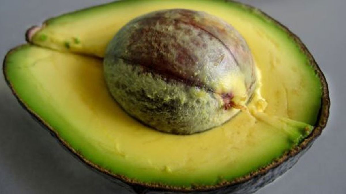 La palta: una fruta llena de beneficios que debe ser consumida con cuidado