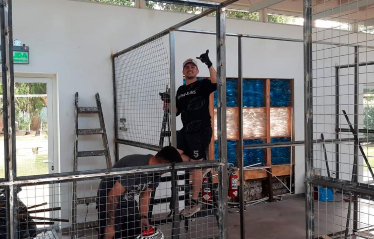 El presidente Milei anunció que pronto se mudarán sus perros a la ...