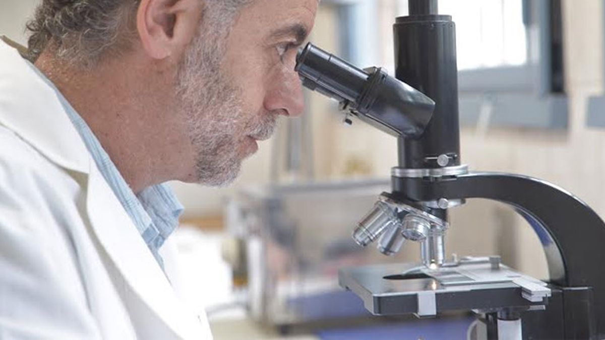 El científico del Conicet Walter Manucha es el primer mendocino en ...