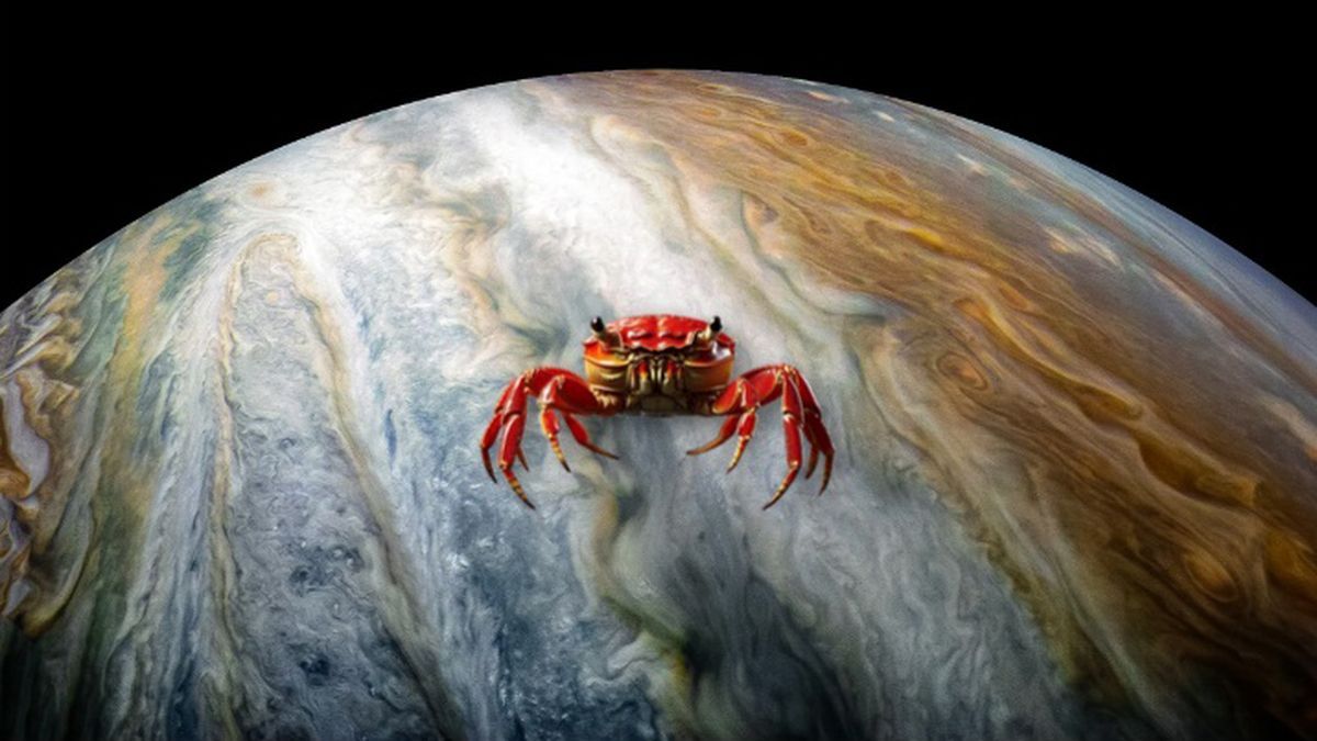 Astrología: los 5 signos beneficiados por la entrada de Júpiter en Cáncer