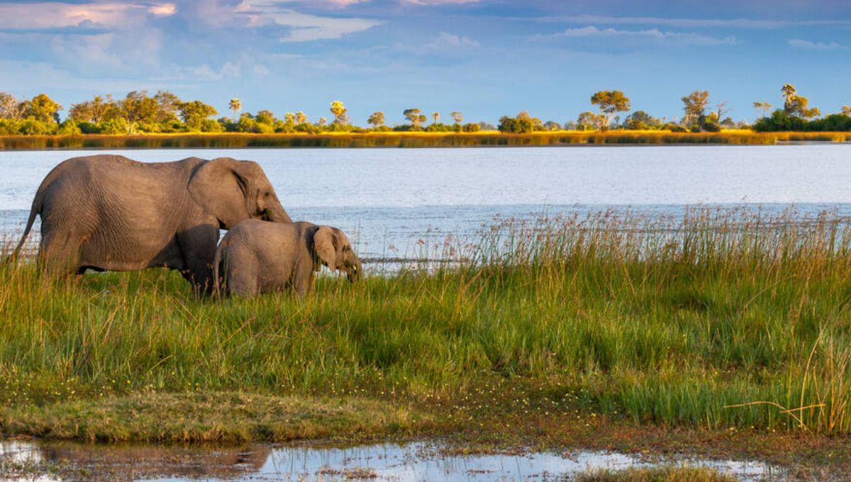 El río único en el mundo que desemboca en el desierto y no en el océano ...