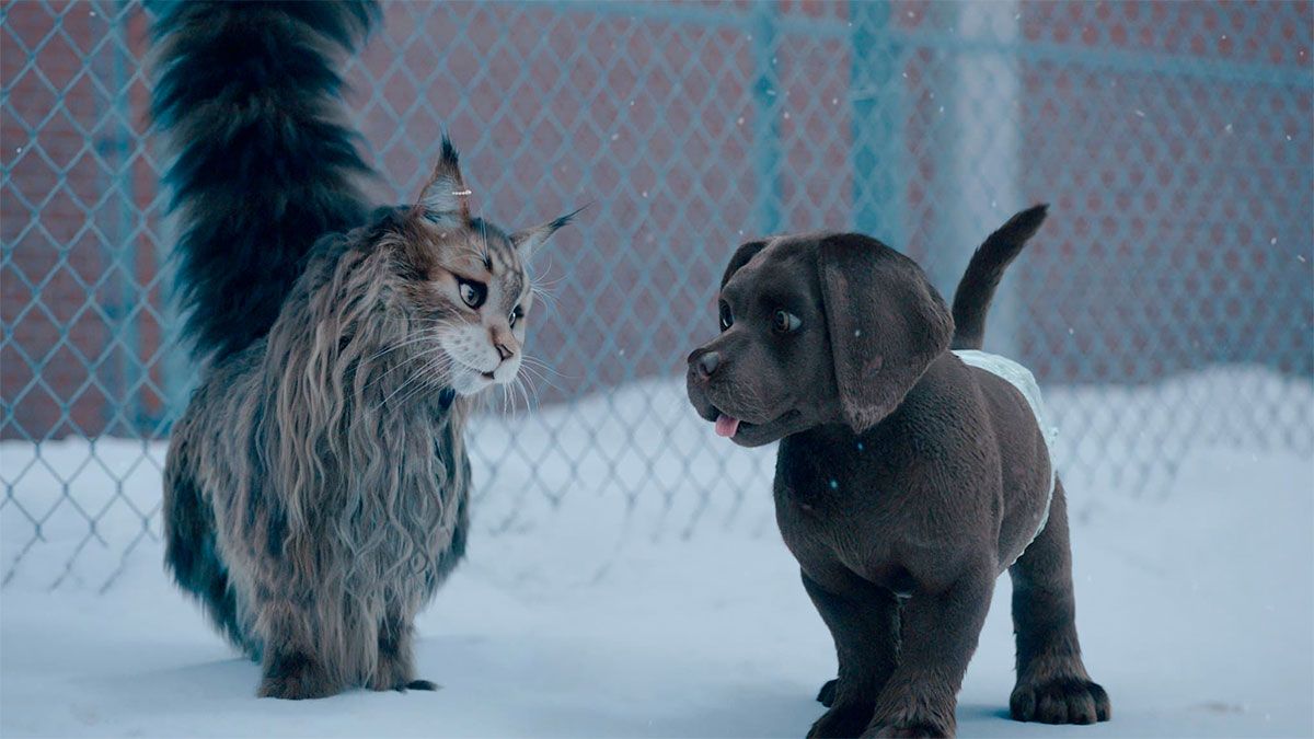 Netflix: la película de una hora y media que la rompe y es la más vista ...