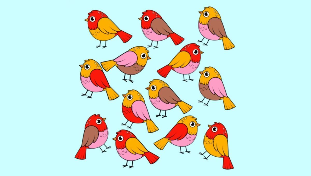 Acertijo visual: solo las personas con vista de halcón pueden encontrar ...