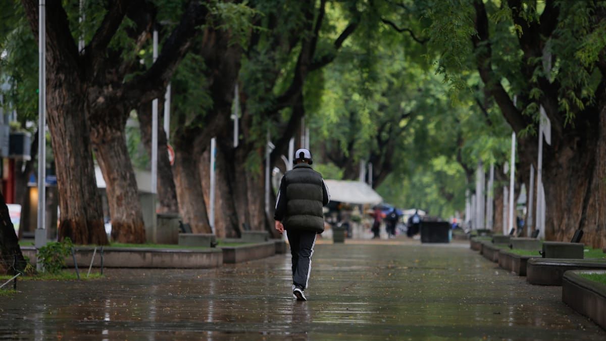 Alerta en Mendoza: estas son las zonas afectadas por las tormentas