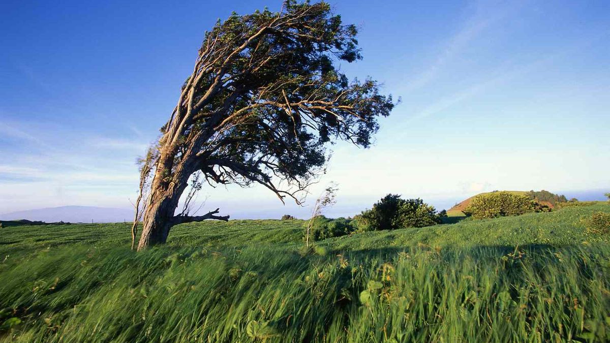 Bokep japan subtitle indonesia