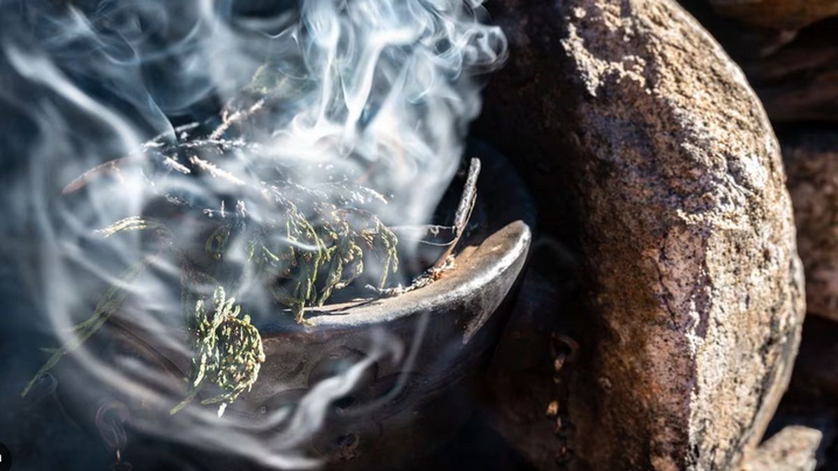 Qué significa encontrar la RUDA SECA en el jardín