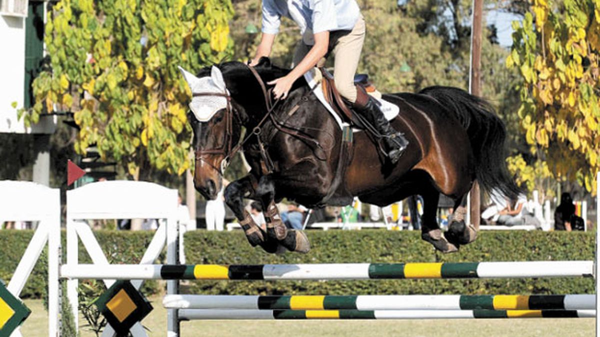 El club Hípico se prepara para una gran cita, el torneo Federal