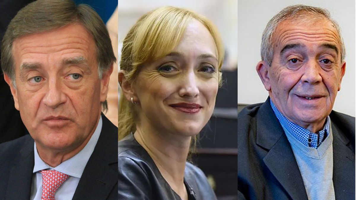 Los gansos new age del Peluca, la mancha de los radichetas y las ...