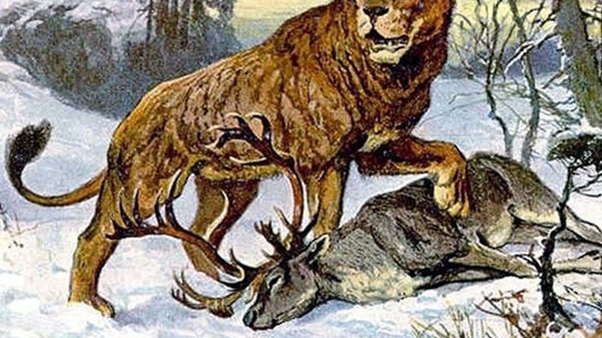 Científicos rusos podrían revivir al león cavernario