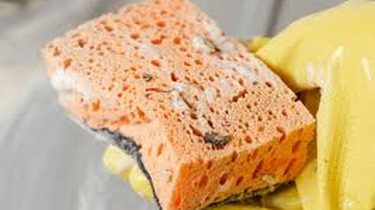 Esponjas de cocina: un nido de bacterias y cómo mantenerlas limpias