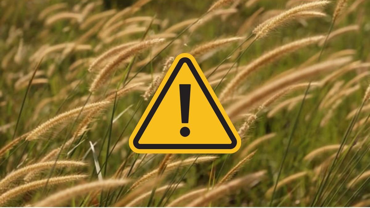 Alerta en la mitad del país: vientos de hasta 7 km/h afectan a las ...