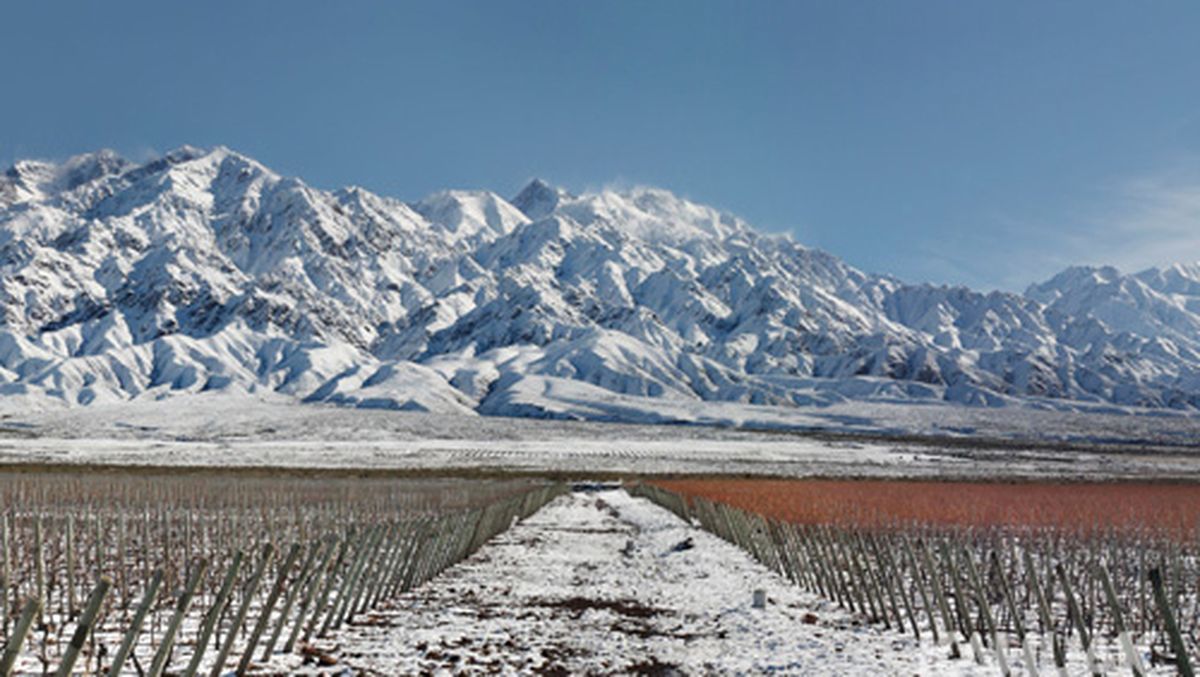 Vacaciones de invierno 2022: qué se puede hacer en Mendoza Vacaciones de invierno 2022: qué se puede hacer en Mendoza