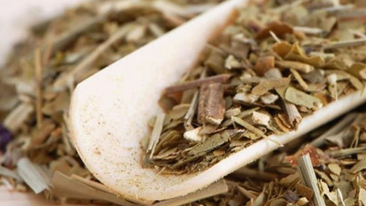 Mate rico y saludable: las ventajas de la yerba con palo