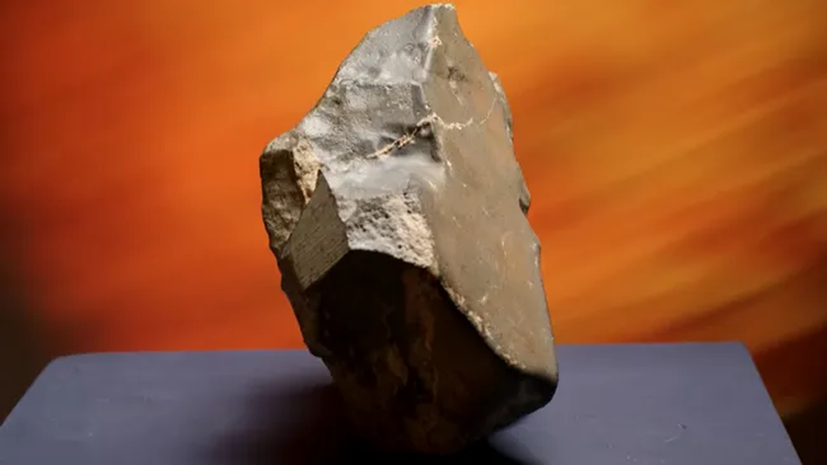 Finalmente, el meteorito de Marte más grande se vendió por más de 5 ...
