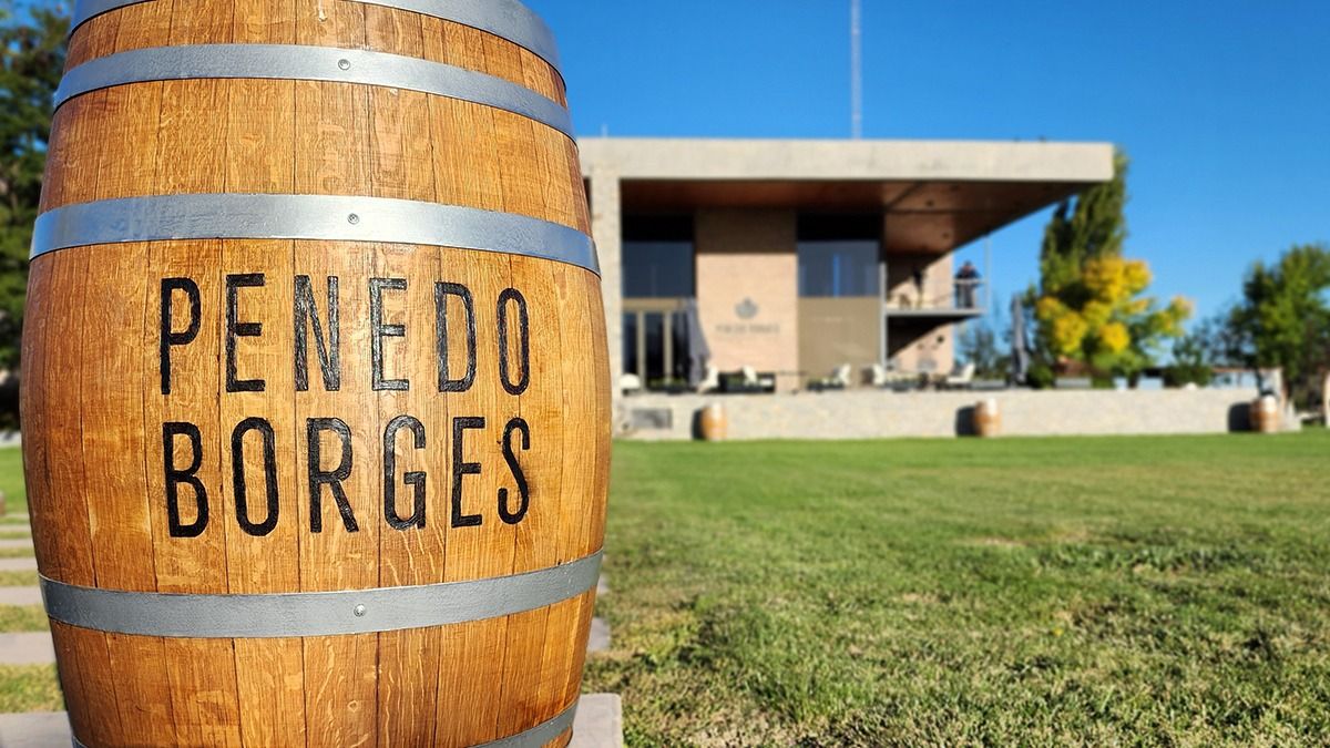 Penedo Borges, el empresario brasileño que apuesta desde hace 19 años ...