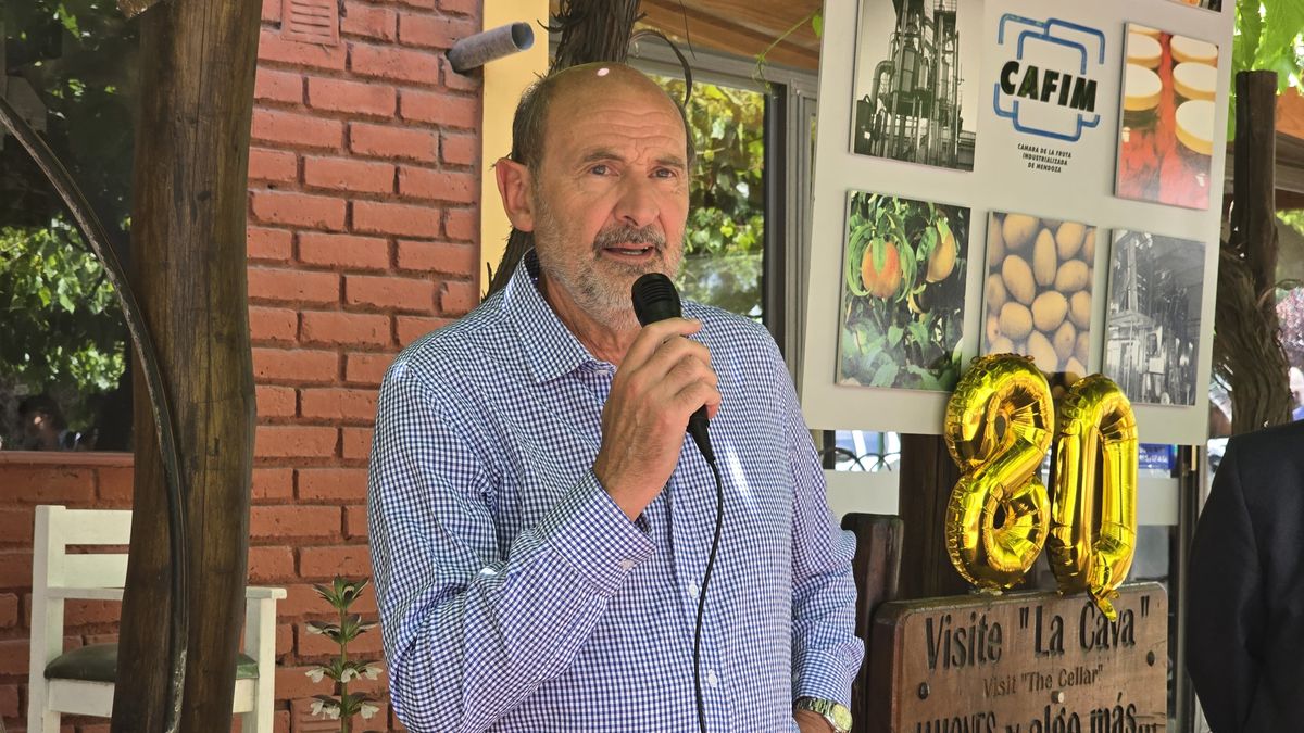 Rodolfo Vargas Arizu vaticinó que el acuerdo Mercosur-Unión Europea ...