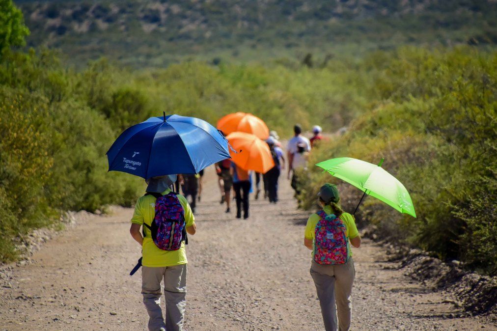 Una a una: cuáles son las 6 reservas naturales protegidas para hacer ...