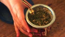 Mate rico y saludable: estas son las mejores yerbas para el mate