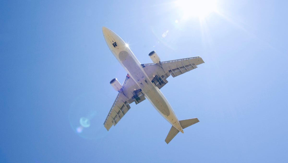 No es casualidad: por qué un avión es blanco y no de otro color