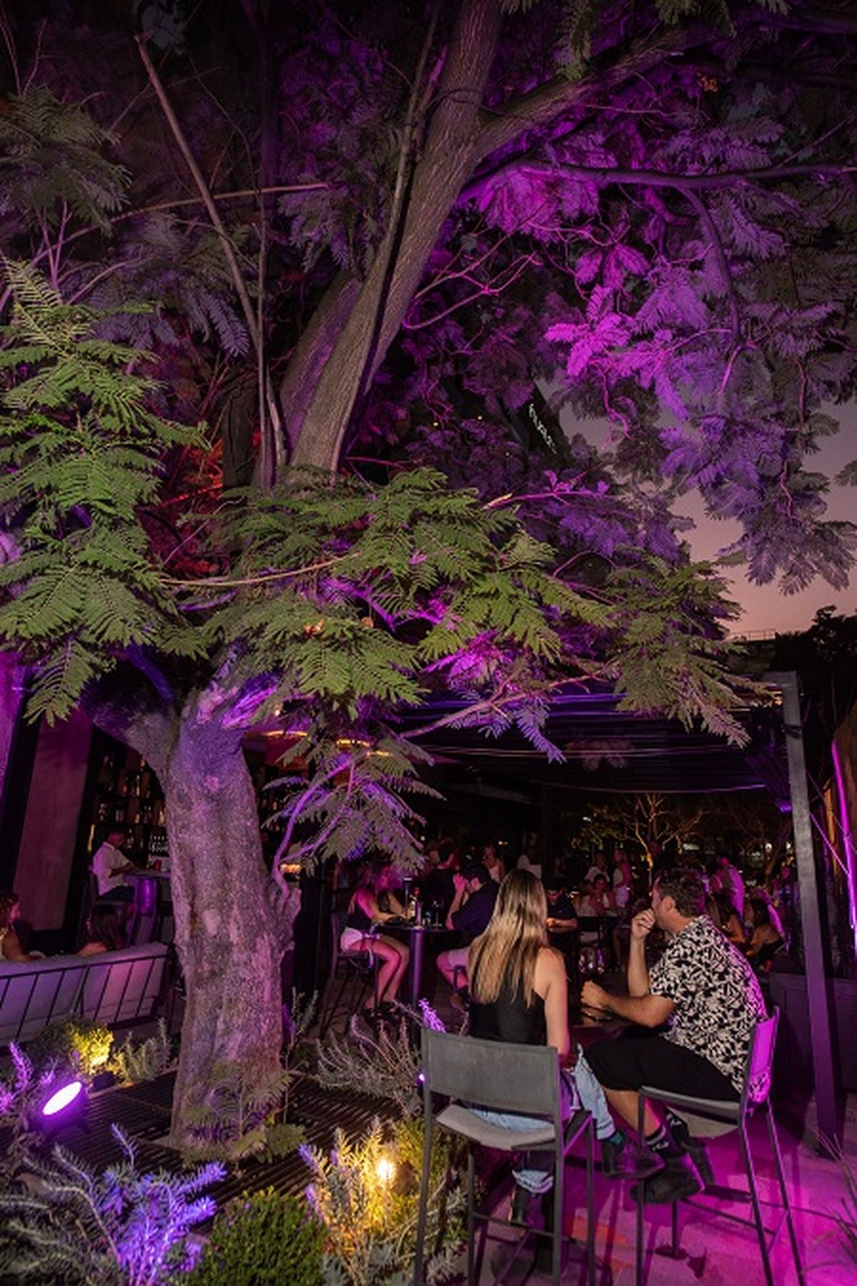 Jacarandá Garden Bar, la nueva propuesta natural y canchera para ...