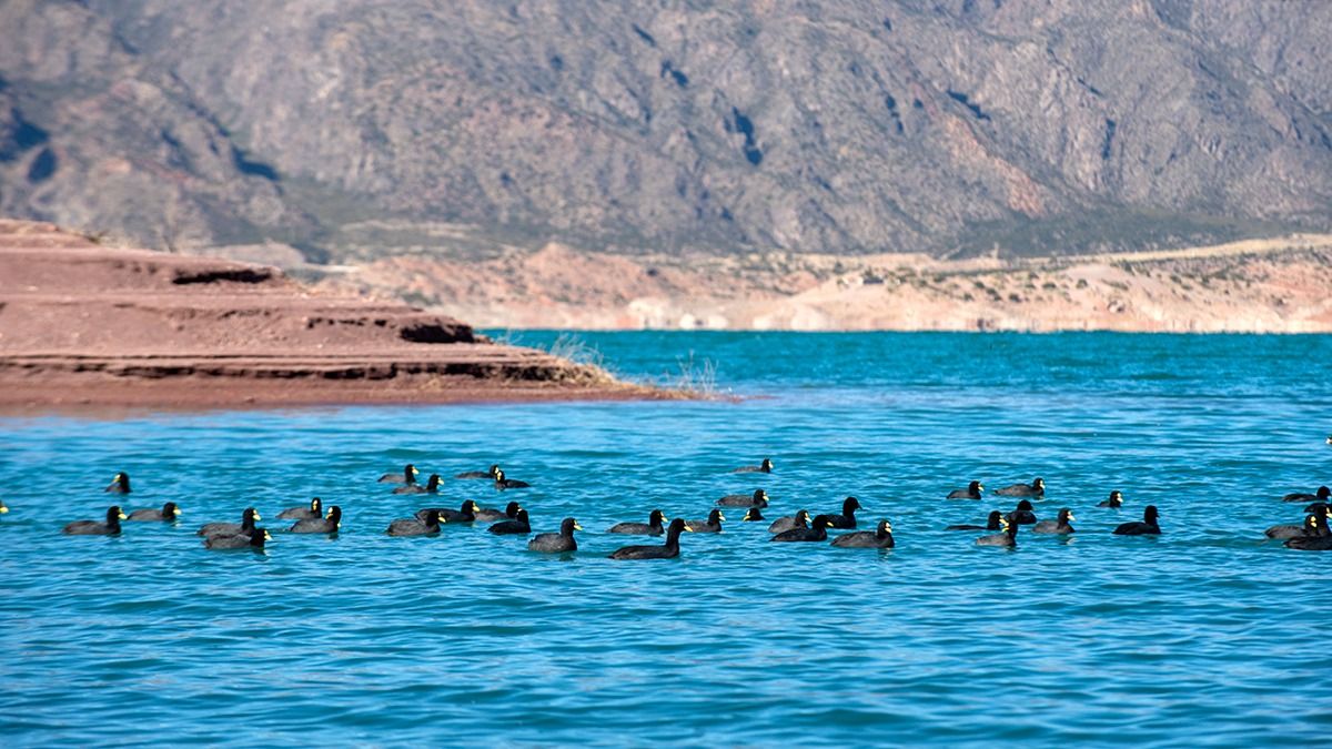 Potrerillos secreto: galería con videos y fotografías desde las costas ...