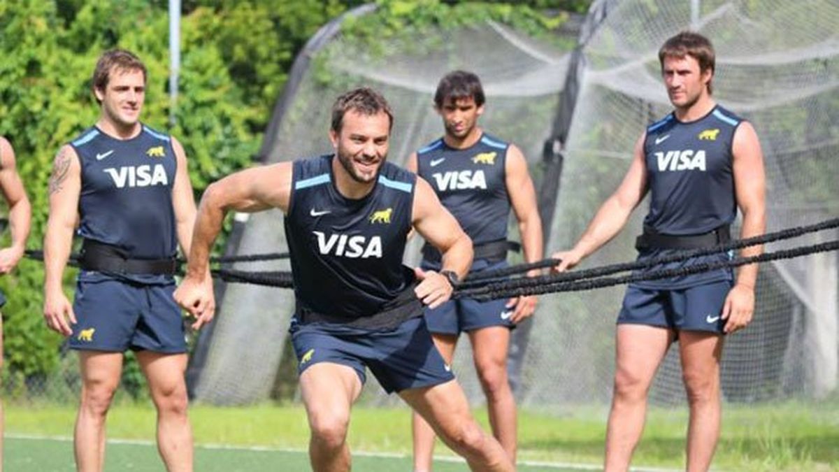 Hernández: El Rugby Championship es más fuerte que un Mundial