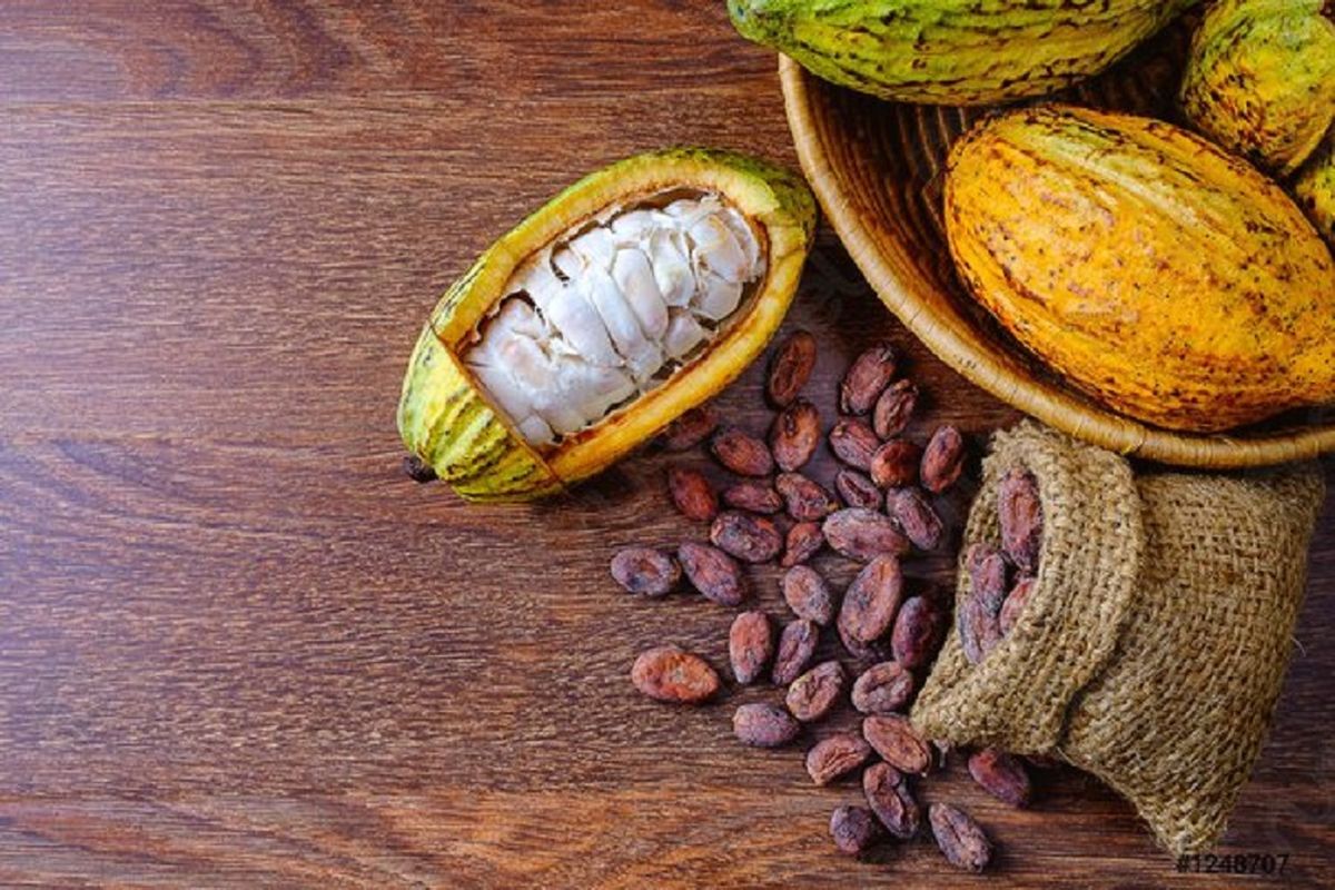 Día Mundial del Cacao: ¿cuáles son los beneficios y el origen de este ...