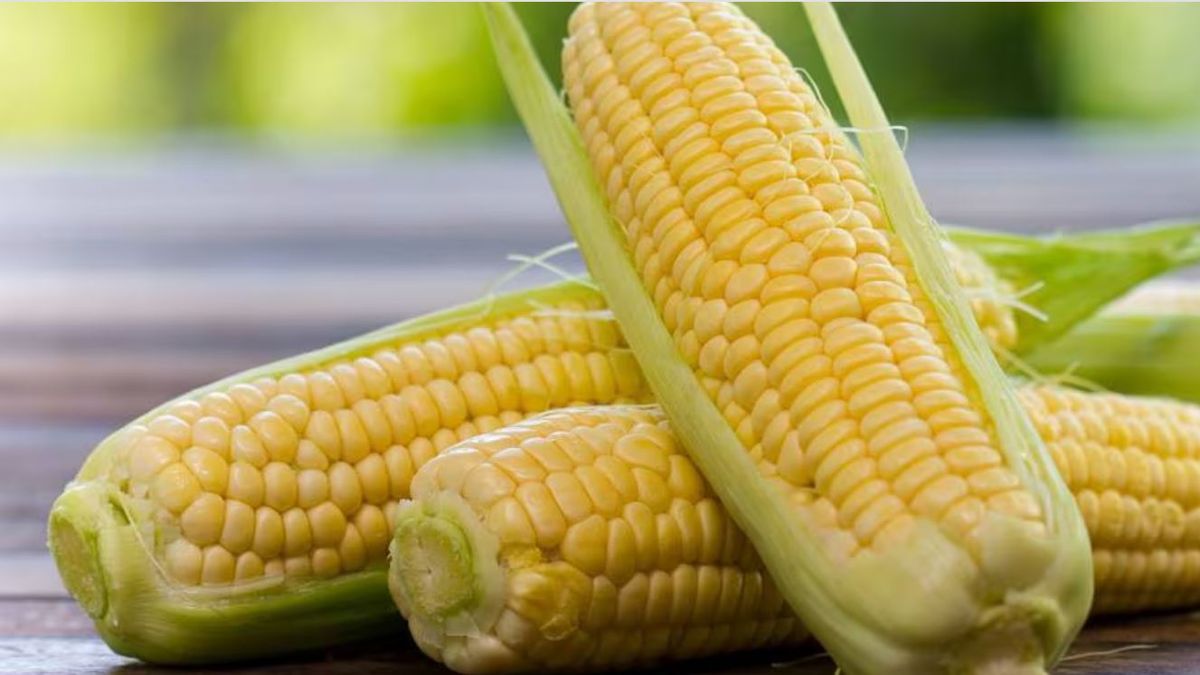 Beneficio de comer choclo